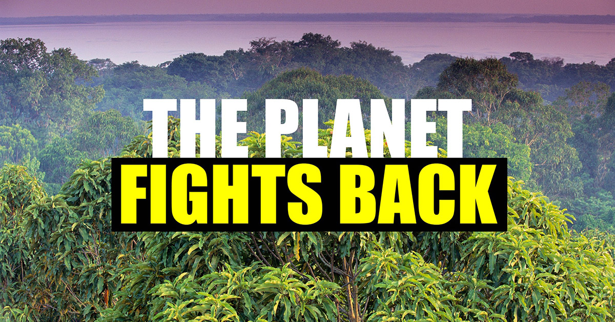 Umweltzerstörung – Ein Verbrechen gegen die Menschlichkeit • SHIFTING ...